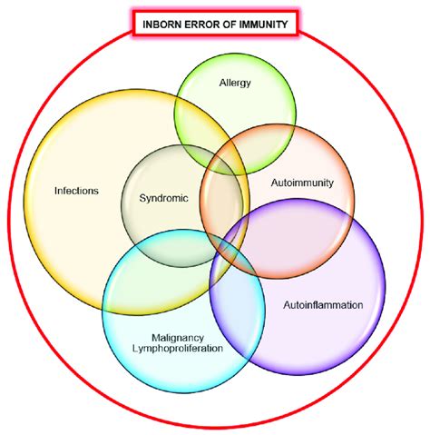 The Diverse Disease Spectrum Of Inborn Error Of Immunity Adapted From Download Scientific