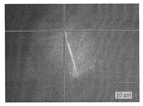 Method For Detecting Single Molecule Of Single Silicon Nanowire In Real