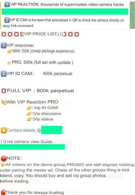 Vietnamese Group Hacks And Sells Bedroom Camera Footage