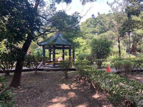 快訊老兄太神了！手指被砍斷還繼續睡 樹林警急追兇