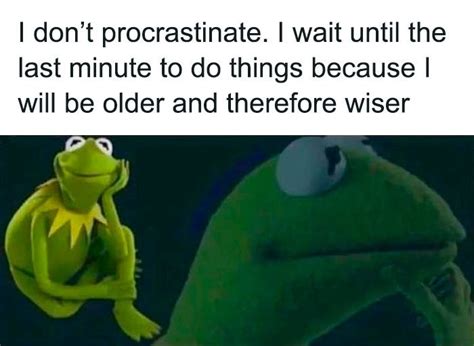 55 Kermit The Frog Memes That Might Make Your Day Kermit Funny