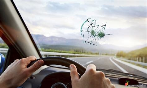 관리팁 자동차 스톤칩에 대처하는 가장 현명한 자세 엔카매거진