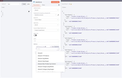 Possible To Include All Field Names On Custom Salesforce Object With Expression Questions N N