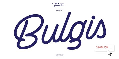 Bulgis Script Variable Font