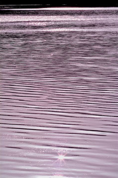 해질무렵 연보랏빛으로 물드는 호숫가의 잔잔한 물결과 빛망울 유토이미지 상세페이지 베이직샵 사진 20386912