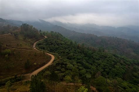 Colombia Un Biodiversity Talks Go From Implementation To ‘encouragement