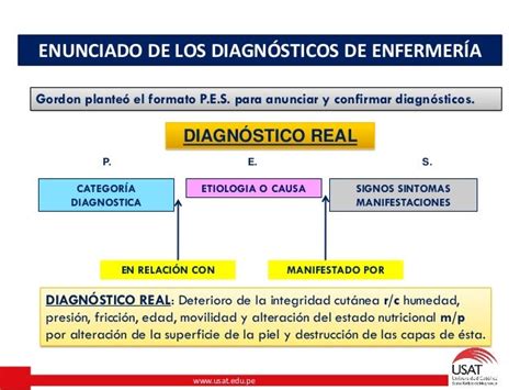 Pae DiagnÓstico De Enfermeria