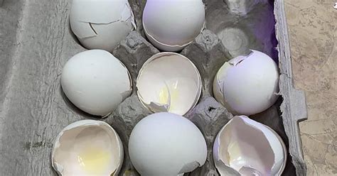 My Sister In Law Is Weird Leaves The Shells In The Carton Is This A Thing Album On Imgur