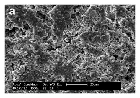 A SEM Images Of The As Prepared Particles Combined Polysiloxane Download Scientific Diagram