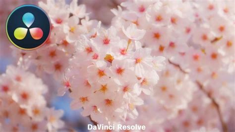 【davinci Resolve 17】映像を柔らかい光に仕上げるカラーグレーディング方法【davinci Resolve