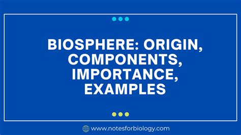 Biosphere Origin Components Importance Examples