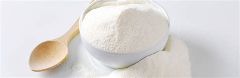 Industrial Lactose Manufacturing Using Decanter Centrifuges