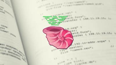 Top Courses To Learn Shell Scripting In Linux Bash Ksh Csh Online In Best Of Lot