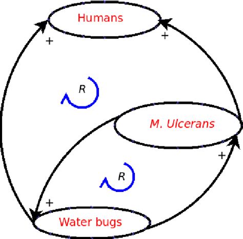 Figure 1 From Modeling The Transmission Of Buruli Ulcer In Fluctuating Environments Semantic