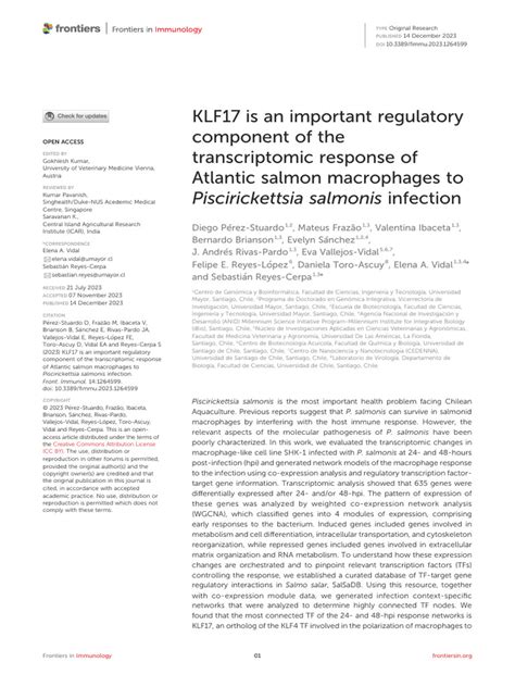 Klf17 Is An Important Regulatory Component Of The Pdf Macrophage