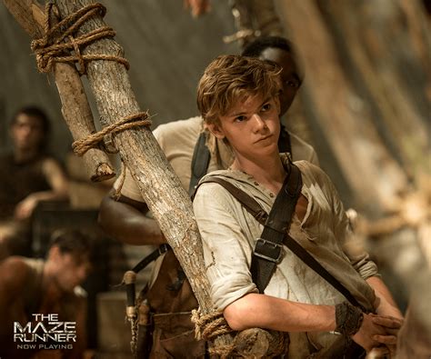 Newt Maze Runner Wallpapers Wallpaper Cave