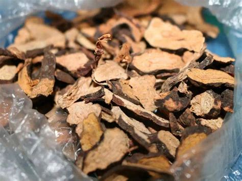 Polygonum Multiflorum Fo Ti Extract Powder Bulk For Sale Rainbow Biotech