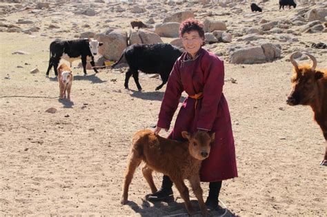 Төрөөс малчдад олгох урамшууллаас НДШ суутгах хуулийг баталлаа