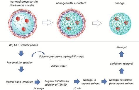 Inverse Emulsion Polymerization To Generate Redox Responsive Nanogels Download Scientific