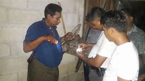 Dvb ေကာ့ေသာင္းတြင္ မူးယစ္ေဆးဝါးမ်ားနွင့္ လက္လုပ္ေသနတ္ ၂ လက္ ဖမ္းမိ