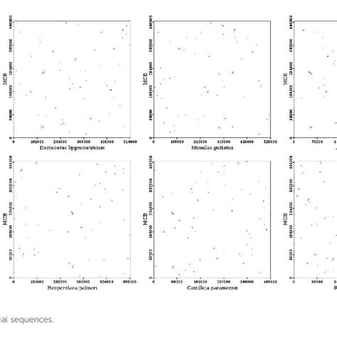 Ssr And Repeat Analysis In Mcb Mitogenome A Ssr Number Statistics Download Scientific