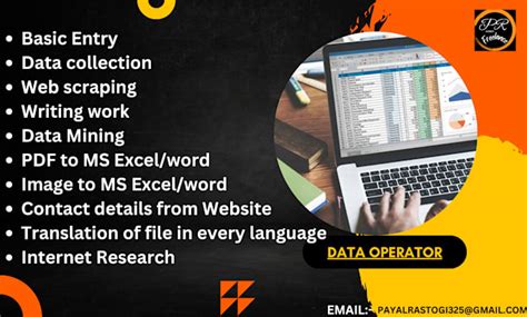 Do Microsoft Excel Expert Data Operator Internet Research By Payalrastogi829 Fiverr