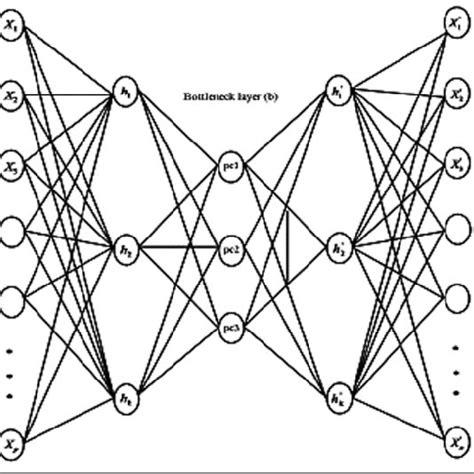 Auto Associative Neural Network Schematic For Nlpca Nn Download Scientific Diagram