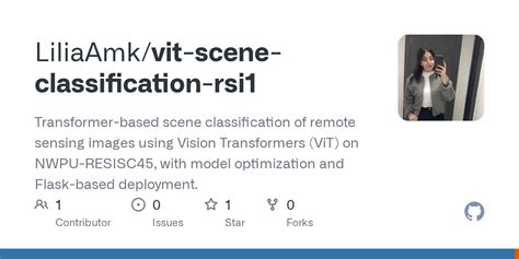Github Liliaamkvit Scene Classification Rsi1 Transformer Based