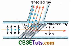 Double Refraction Or Birefringence Definition Types With Examples