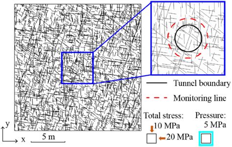 The Generated Discrete Fracture Network Dfn With A Domain Size Of 20 Download Scientific
