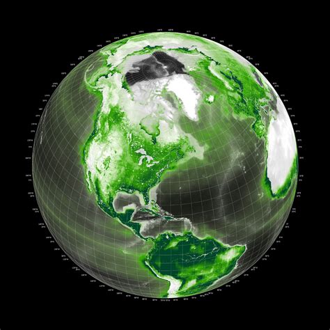 Public Assembly Publicassembly • Instagram Photos And Videos