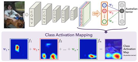 Class Activation Maps This Work Is A Part Of The Ai Without By Gagana B Medium