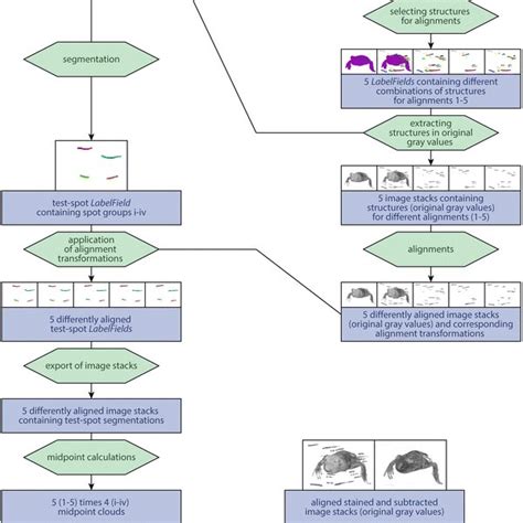 Steps Of Data Alignment And Statistical Analysis Of Alignment Quality Download Scientific Diagram