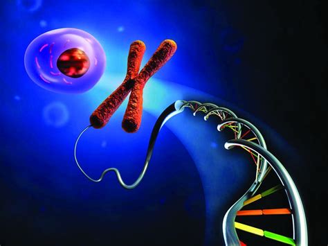 Developing Genetically Modified Rice Variety Using Recombinant Dna Technologies The Asian Age