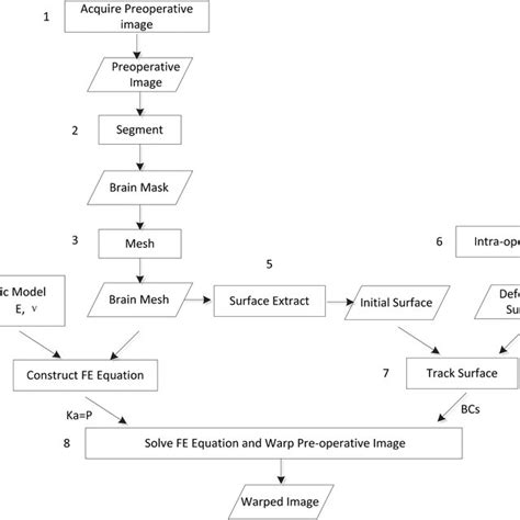 Brain Deformation Correction Framework Download Scientific Diagram