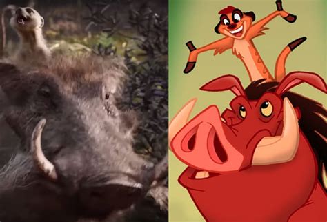 Conheça O Timão E Pumba Da Vida Real Que Viralizou Nas Redes Assista Bossanews Brasil