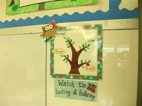Cute Owl Theme Classroom Bulletin Board