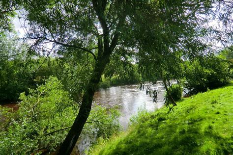 Riverside Lodges With Hot Tubs Parking Pictures And Reviews Tripadvisor