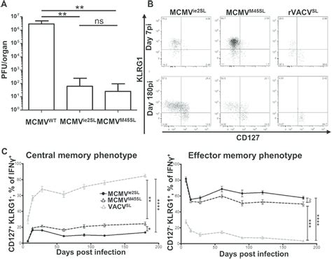 Peptide C Terminal Localization Results In Better Protection And Download Scientific Diagram