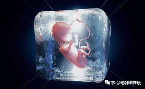 你不了解的试管婴儿冻胚移植成功率高于鲜胚移植15！ 知乎