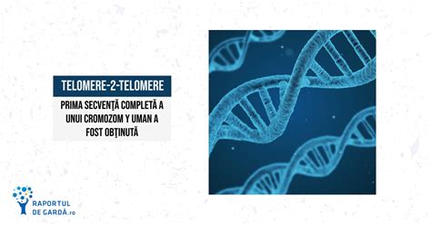 Completarea Secvenţei De Referinţă A Genomului Uman Primul Cromozom Y Secvenţiat în întregime