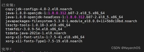 【keyarchos】elasticsearch685简介和部署实践elasticsearch 685 Csdn博客