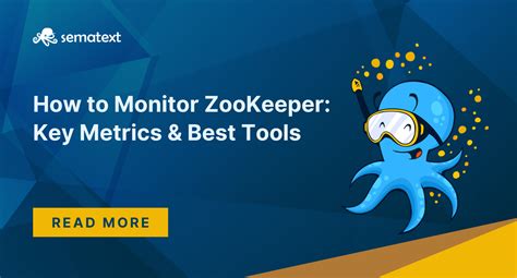 How To Monitor Zookeeper Key Metrics And Best Tools In 2023 Sematext