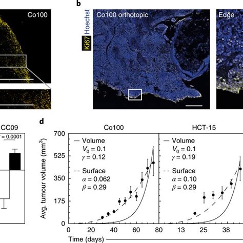 Stochastic Modelling And Data Inference Identify Spatiotemporal Download Scientific Diagram