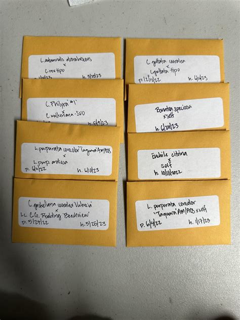 Working On More Flasks Rorchids