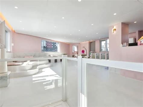 파스텔 핑크 컬러로 귀여운 내부 60평 애견호텔 인테리어 수원 장안구 조원동