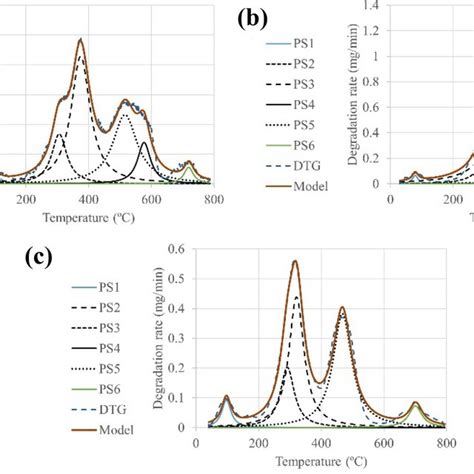 Morphological Differences Between Quercus Cerris And Beaucarnea Download Scientific Diagram
