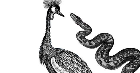 Numsharp The C Port Of Numpy Is It Difficult To Translate Python By Haiping Chen Scisharp