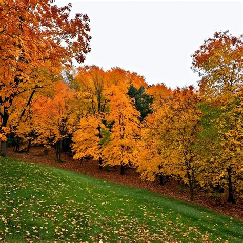 Sd3 Medium Prompt Challenge Magicflow Ai