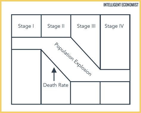 the demographic transition model intelligent economist